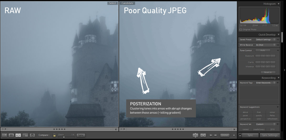 Why you should shoot in RAW format (and why you shouldn't) - DALIBRO