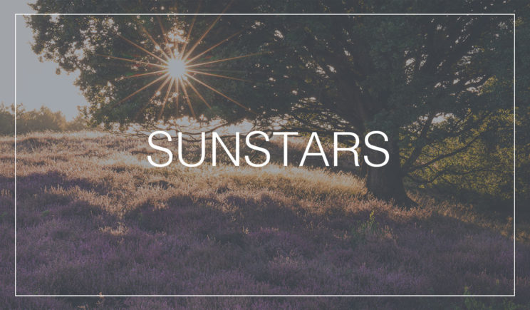 How to create sunstars in your landscape photos - DALIBRO